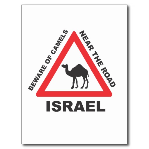 Is It a Camel or a Horse? Some Thoughts on "The Prime Minister's ...