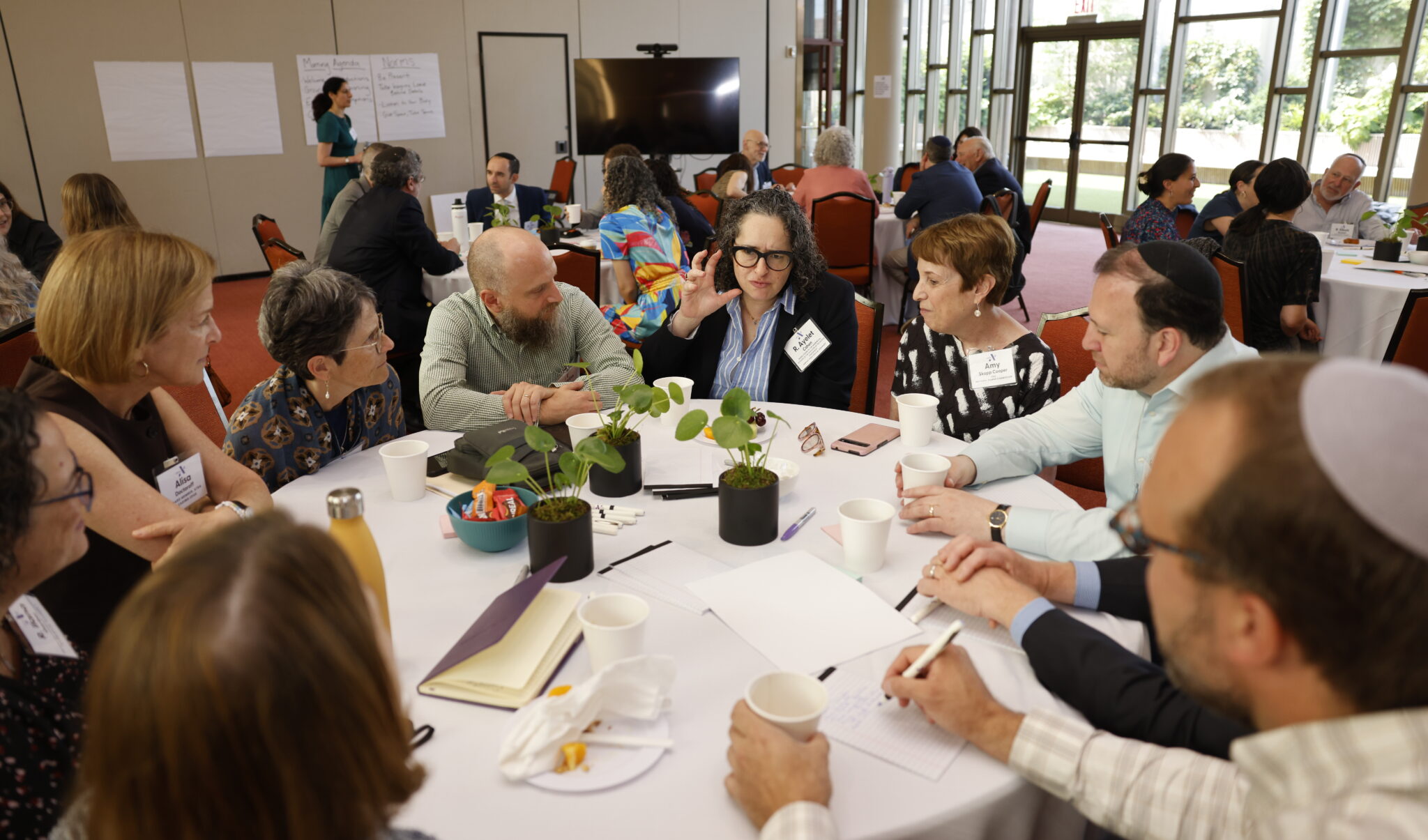 We finally have data on the rabbinate. The reactions are a dataset, too ...